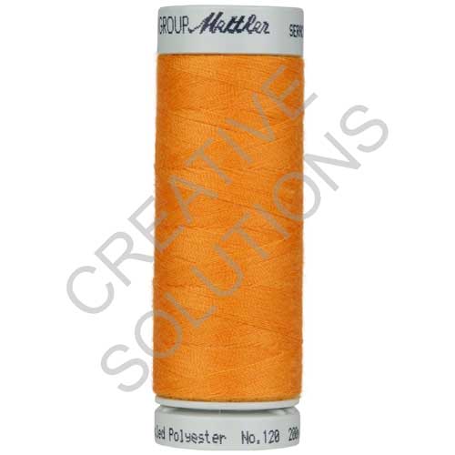 0122 - Pumpkin Seracycle Thread - CreativeSolutionsGB.com